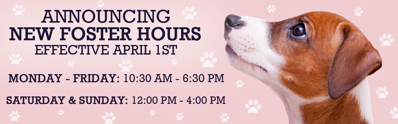 Greenville Humane Society | Greenville, SC