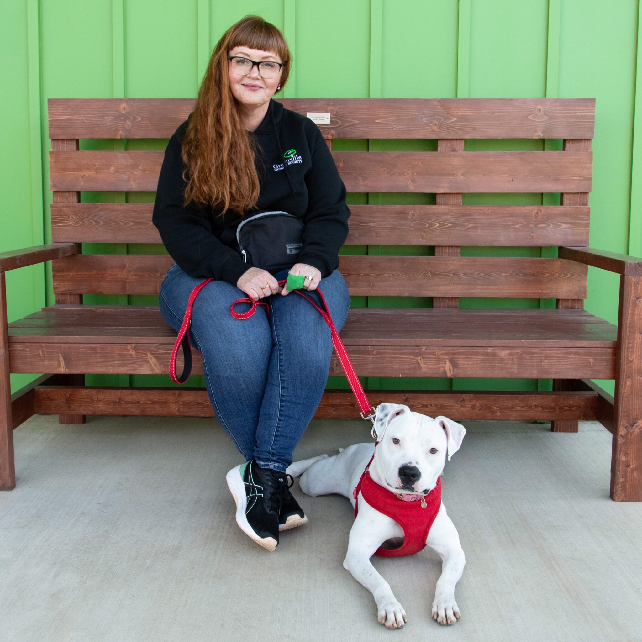 Training & Enrichment – Greenville Humane Society
