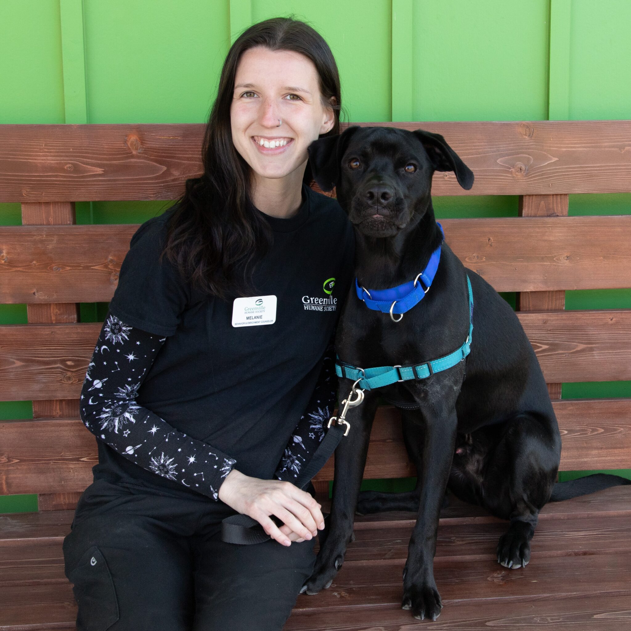 Training & Enrichment – Greenville Humane Society